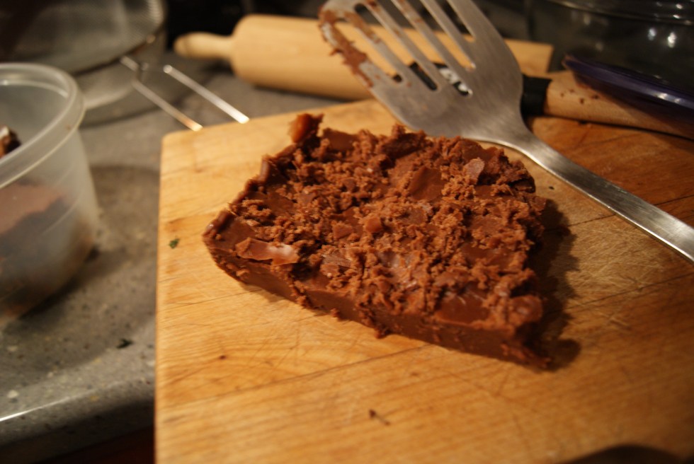 What The Fudge Is Everyone’s Problem? Also, Fudge. – Sad Shibow