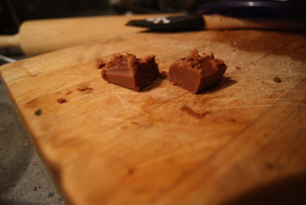 What The Fudge Is Everyone’s Problem? Also, Fudge. – Sad Shibow